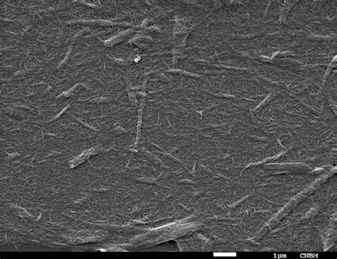 Sem Image Of Cnf W A Nanocellulose Structure B Diameters Of