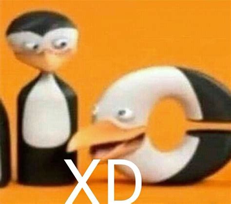 Hace Chiste Quemadisimo De Imagen Random Con Un Xd Imágenes