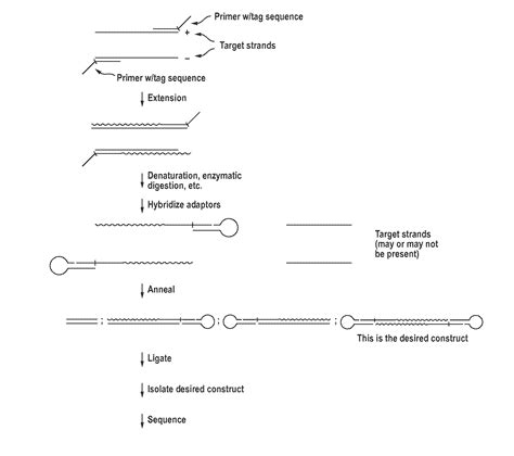 Nucleic Acid Secondary Structure Patented Technology Retrieval Search Results Eureka Patsnap