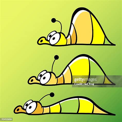 Crawling Frog Photos And Premium High Res Pictures Getty Images