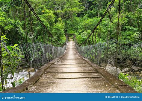 The Suspension Foot Bridge In The Jungle Of Ecuador Stock Image Image