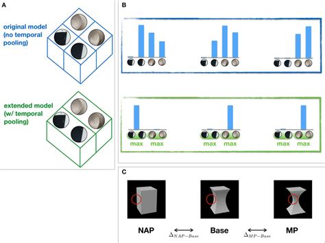 Feature Columns Invariance To Object Transformations And Nap Download Scientific Diagram