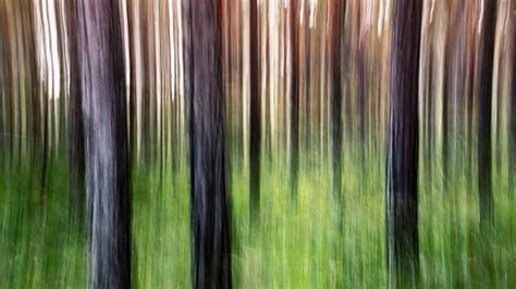 What Is Hallucinogen Persisting Perception Disorder Hppd