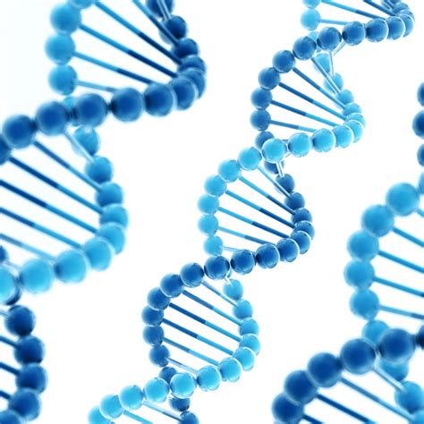 Difference Between Dna And Rna Viruses Replication