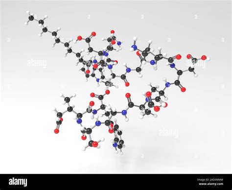 Daptomycin Molecule Computer Illustration Showing The Molecular Structure Of Daptomycin