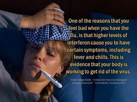 Structural Chiropractic Added A Structural Chiropractic