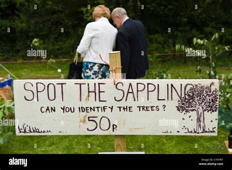 Uk Tree Identification Hi Res Stock Photography And Images Alamy