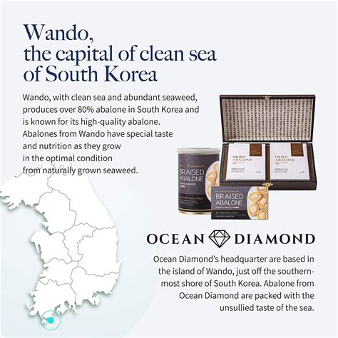 Premium South Korea Abalone In Brine 8 Pieces Wando Raised Low Calorie No Preservatives