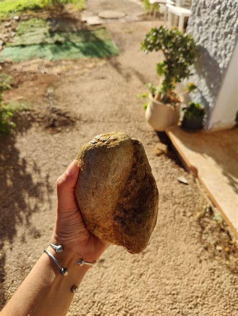 Is This A Fossil R Fossils