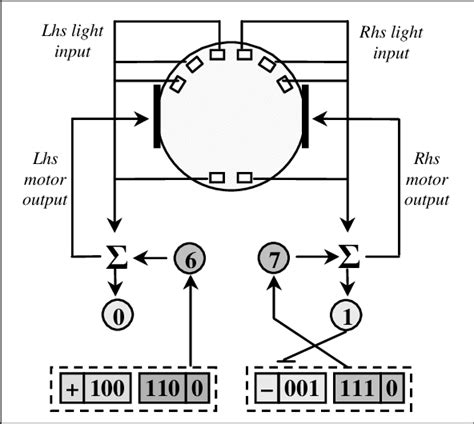 Interface Between Khepera Robot And Cell Lhs Light Input Generates