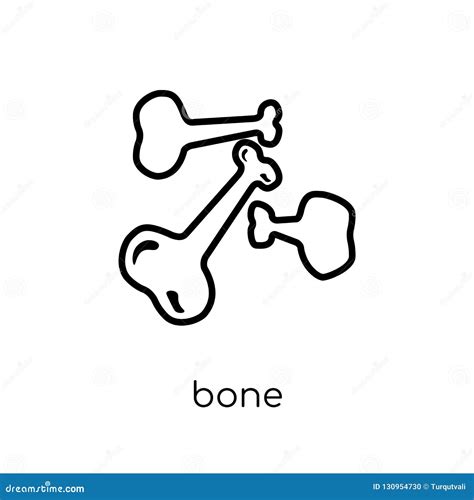 Bone Icon From Collection Stock Vector Illustration Of Anatomy
