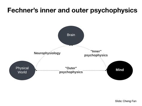 The Thin Line Between Reconstruction Classification And Hallucination In Brain Decoding