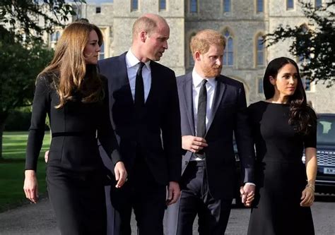 Caring Prince Harry 'helps Meghan Markle with royal protocol' during Kate and William reunion ...