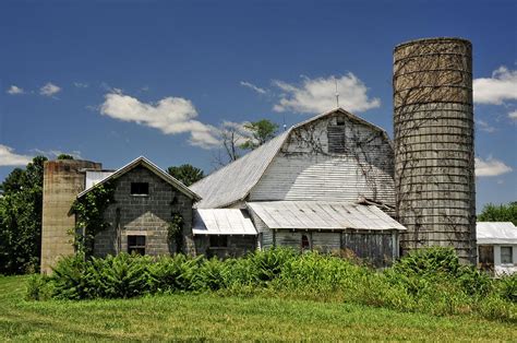 Old Dairy Barns