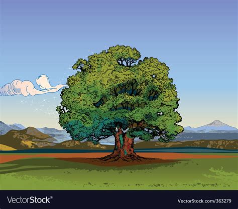 Oak Tree Royalty Free Vector Image Vectorstock