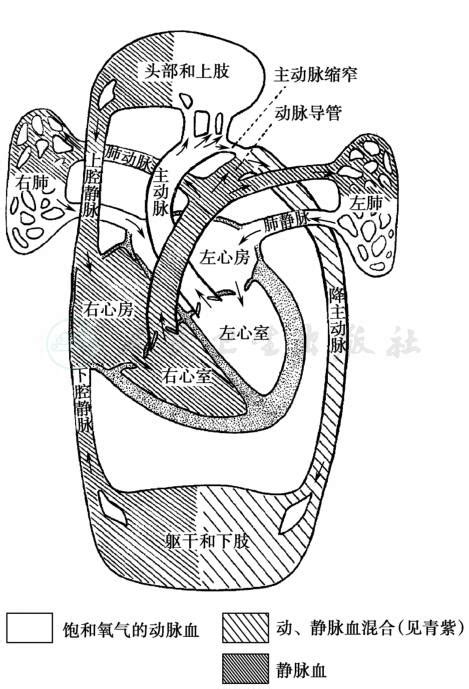 疾病详情 疾病 人卫临床助手 人民卫生出版社