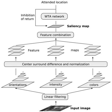 schematic diagram of a saliency based model of selective attention