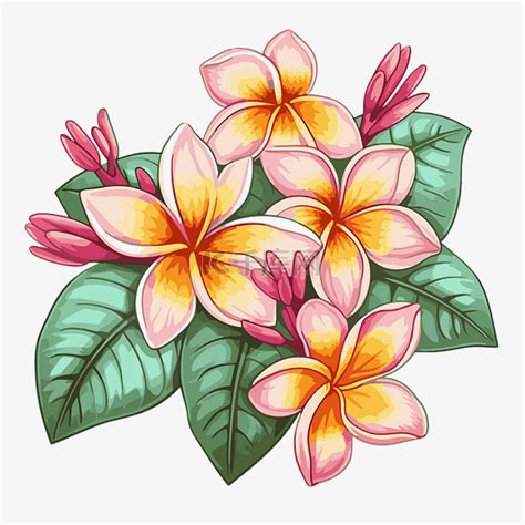 鸡蛋花剪贴画异国情调的花朵夏威夷或 Tikei 花卡通 向量素材图片免费下载 千库网