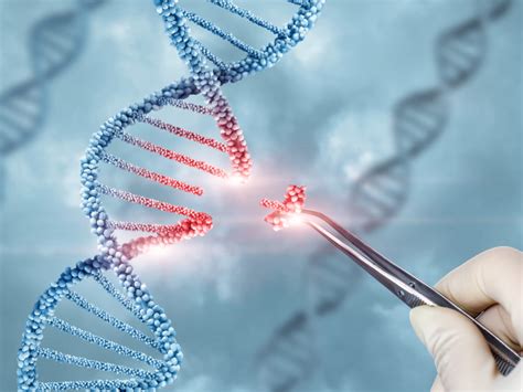 Discussion On Celmods In Nhl Pre Test Cco