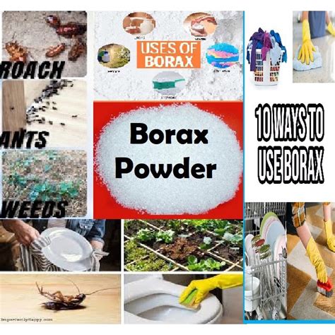 Borax Powder Cleaning Agent Toilet Cleaner Cleaner Laudry Ant Killer