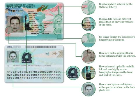 How To Read A Green Card Explained