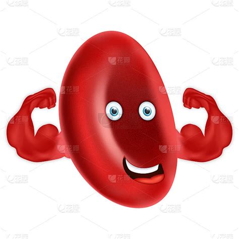 卡通强壮健康的人体红血作为心脏学健身和健康的象征或作为强健心脏运动的解剖器官与肌肉二头肌的概念。矢量素材 花瓣网