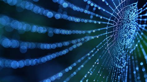 Bridging The Gap Between Web2 And Web3 How Businesses Can Seamlessly Make The Transition Maxcode