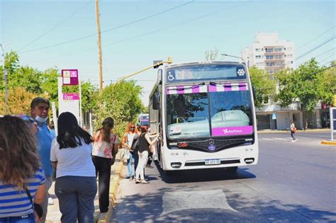 Aseguran Que Se Podrá Saber El Horario De Los Colectivos En Tiempo Real