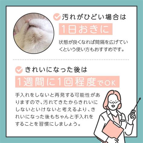 獣医師監修 ネコあごキレイ 猫ニキビケアセット 猫あごクリーナー 30ml 化粧水 コットン 30枚 ブラシ タオル 猫 あご ニキビ 汚れ