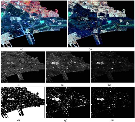 Figure 12 From A Coupled Temporal Spectral Spatial Multidimensional