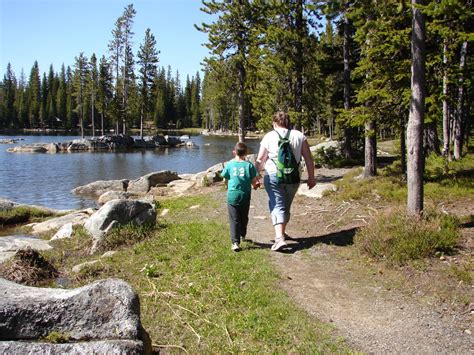 Wallowa Whitman National Forest Anthony Lakes Boat Launch Forest