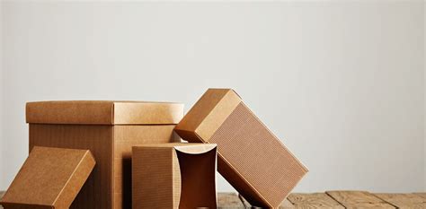 5 Sustainable Startups Leading The Charge For A Greener Planet