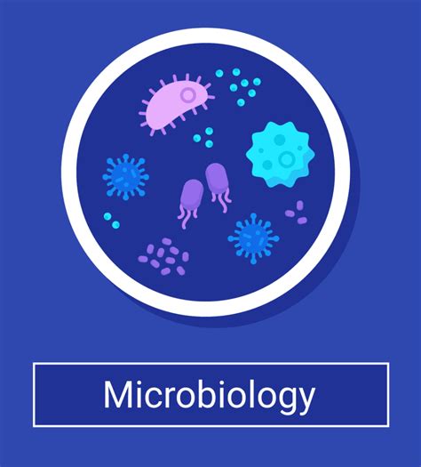 bacteria enumeration definition methods and example conduct science