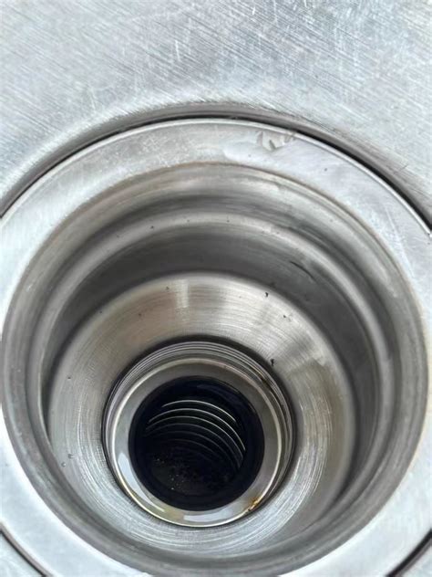 Pipiline Tt Lollyta Store