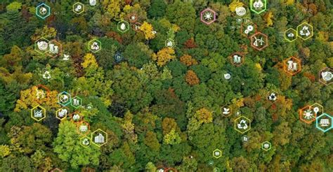 How To Become An Environmental Data Analyst