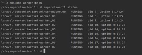 Laravel Schedule Running Twice Using Supervisor · Issue 35075