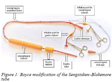 Esophageal Gastric Tube Balloon Tube Feeding Into The Gut Enteral