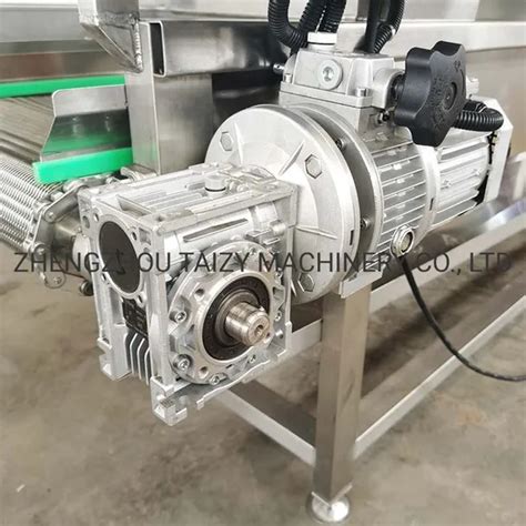 Vegetable Cleaning Drying Sorting Waxing Fruit Washing And Grading Machine Cabbage Dehydrating