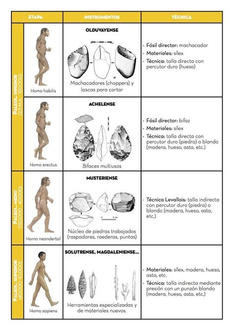 Técnicas De Fabricación De Herramientas Prehistoria Evolución Humana