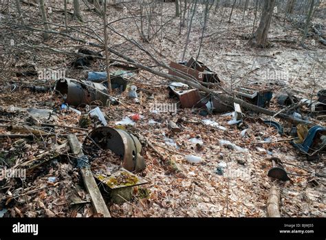 Trash Dumped In Woods Michigan Usa By Jeff Wickett Dembinsky Photo