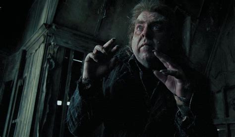 10 Little Known Facts About Animagus In The Harry Potter Universe