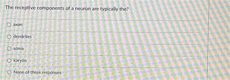 Solved The Receptive Components Of A Neuron Are Typically