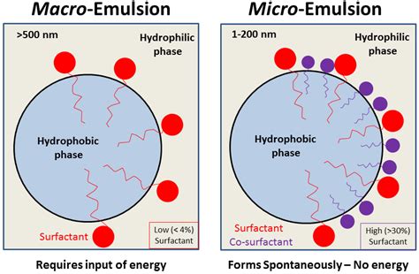 Microemulsion Drug Ocular Penetration System Midrops™