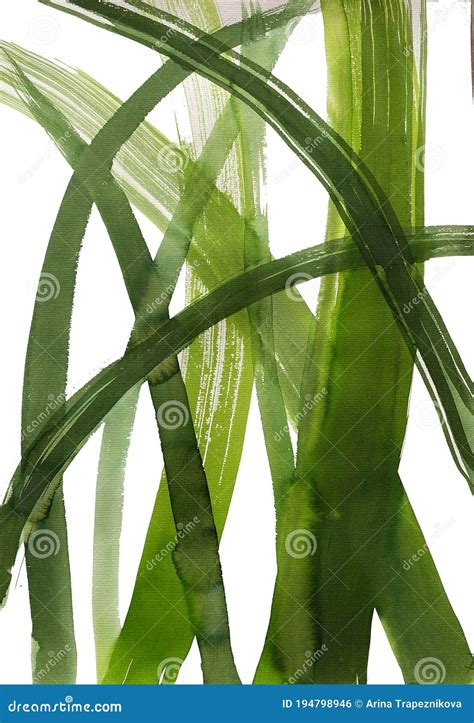 Green Grass Ink Stock Illustration Illustration Of Colour 194798946