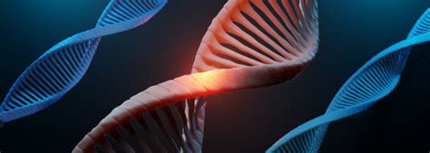 Understanding Amplicon Sequencing Applications And Techniques
