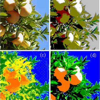 Color Segmentation Of The Original Image A Using Color Space Download Scientific Diagram