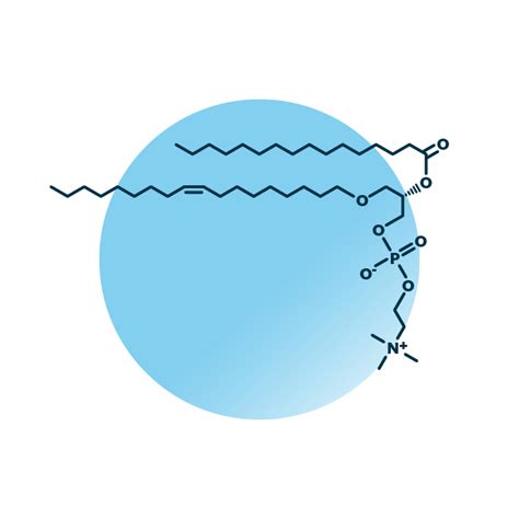 Ether Linked Pc Analysis Lipid Analysis Lipotype Gmbh