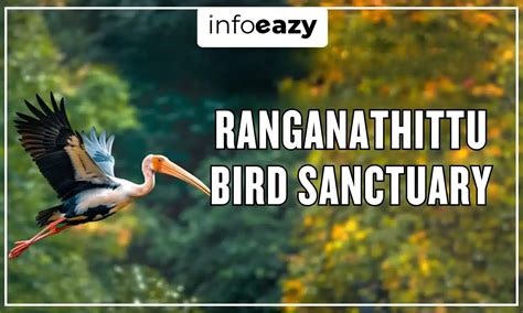 Ranganathittu Bird Sanctuary Geographical Features Flora Fauna