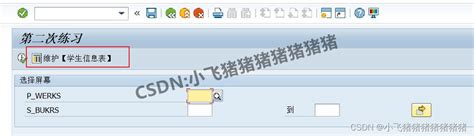 abap 选择屏幕按钮 abap屏幕单选按钮 csdn博客