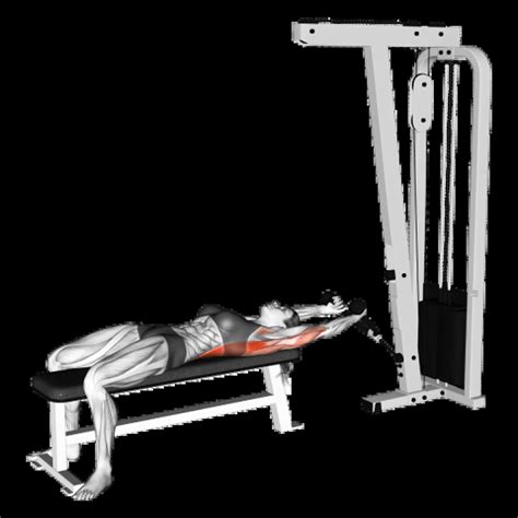 Assisted Pull Up Guide Muscles Worked Tips Athlemove